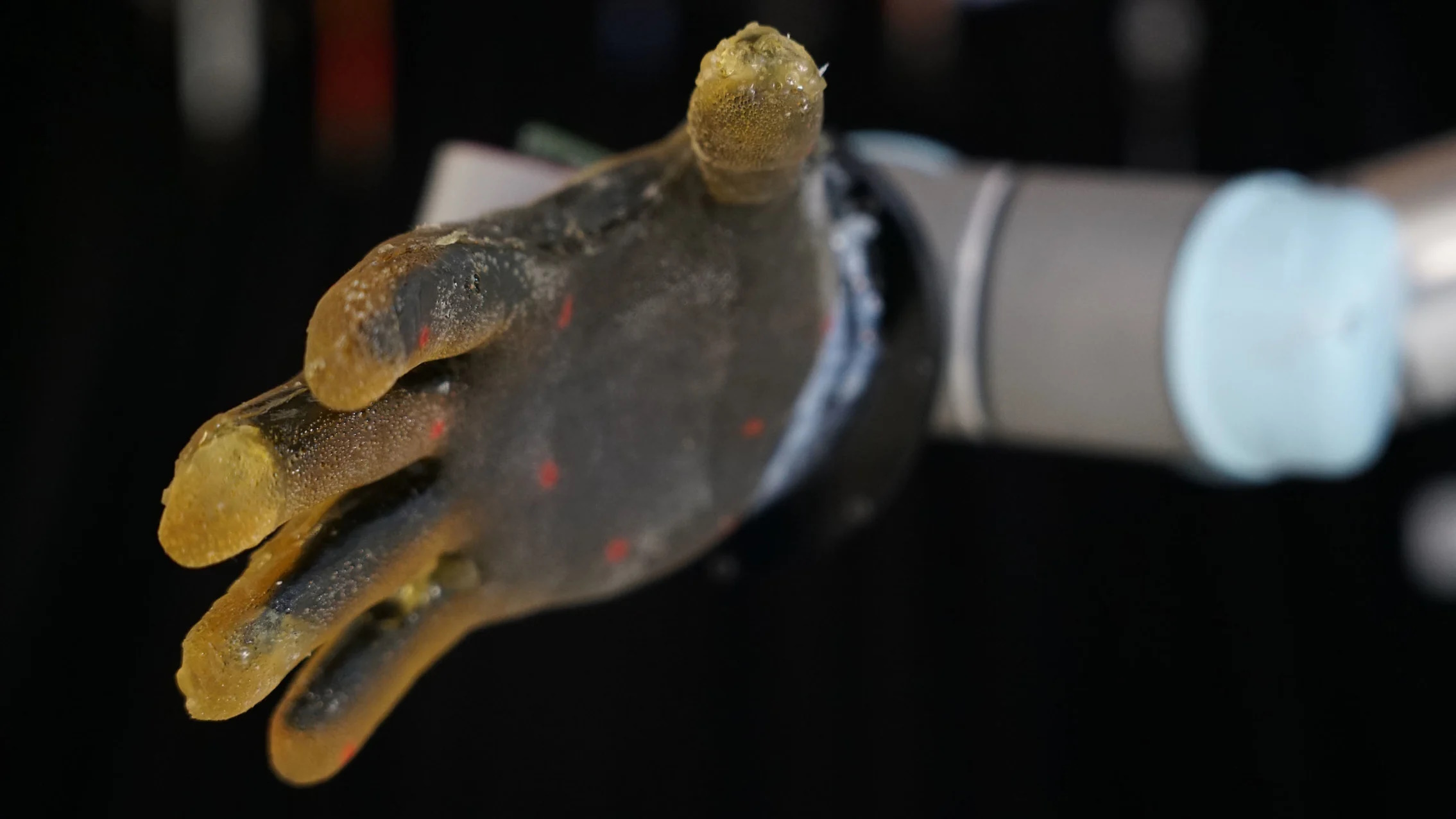 Scientists unveil low-cost ‘robotic skin’ that mimics human touch / Polytec Personnel