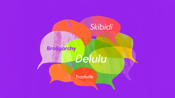 Cambridge Dictionary adds ‘skibidi’, ‘delulu’ and ‘tradwife’ among 6,000+ new entries / Polytec ...
